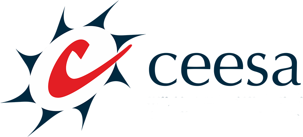 Asesoría de empresas y desarrollo de software en Getxo | CEESA, S.A.